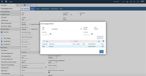Labor Maximo Secrets