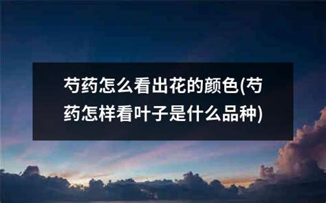 芍药怎么看出花的颜色芍药怎样看叶子是什么品种 养花经验