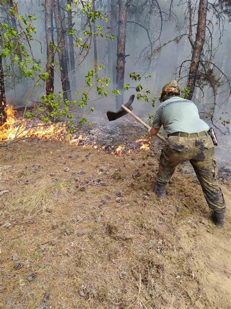 Военнослужещи от Сухопътните войски и от Военновъздушните сили и днес оказват помощ в борбата с