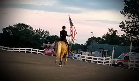 Ashley Eldred Now All In On Standardbreds Harness Racing Update