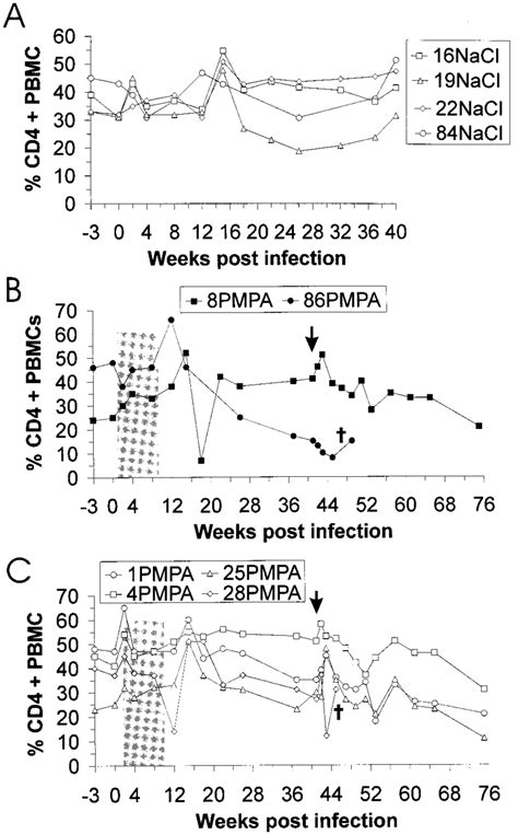 Percentage Of Cd4 Cells In Pbmc From Rt Shiv Infected Macaques Treated