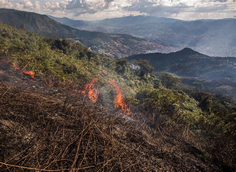Alerta En Medellín Por Posible Aumento De Incendios Forestales