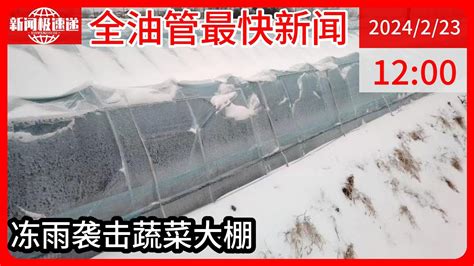 中国新闻02月23日12时：种植户蔬菜大棚被冻雨压塌：打了几百通电话通知农户们，但还是来不及 Youtube
