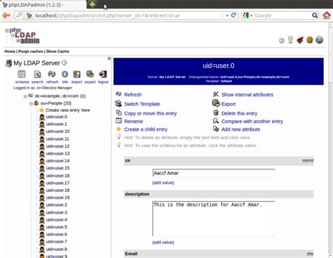 Usuario Ldap ¿qué Es Y Para Qué Se Utiliza 2025 Elyex