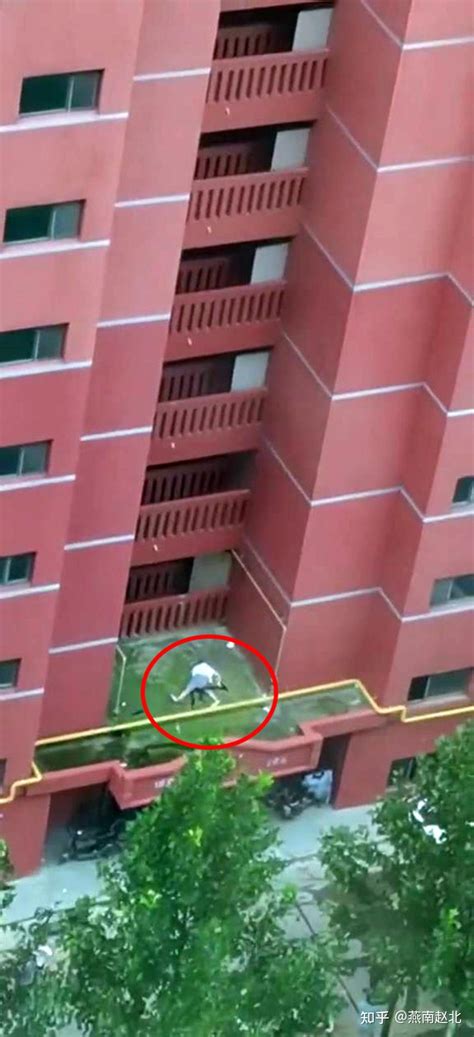 保定一小区高层发生坠楼事件，男子不幸当场身亡 知乎