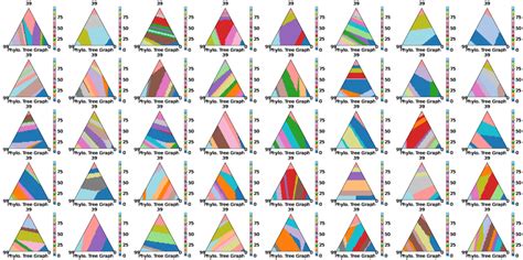 Classification Regions In The Probability Simplex Of 3 Class