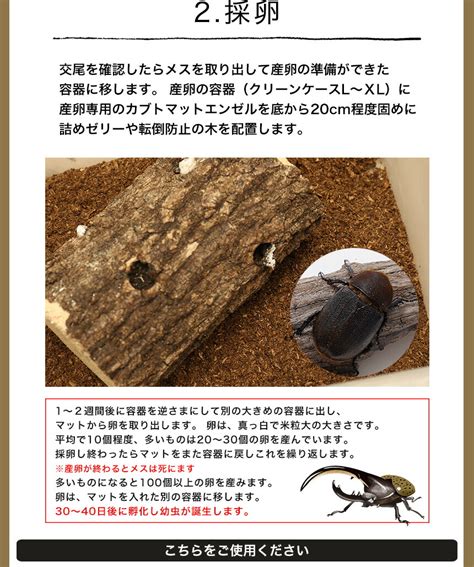 【楽天市場】特集：むしや本舗