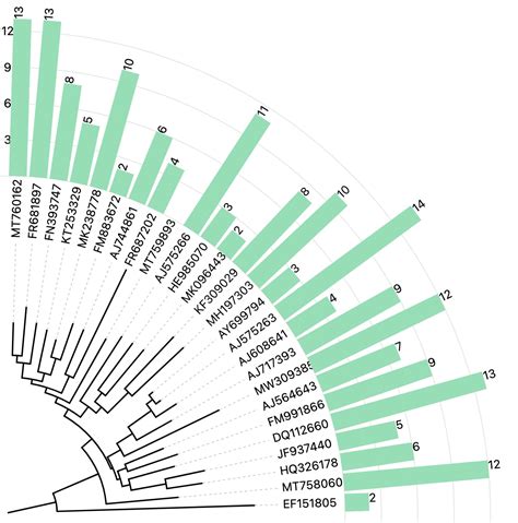 Base Bar Plot · Gitbook