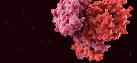 What Is Idh Idh Learn More