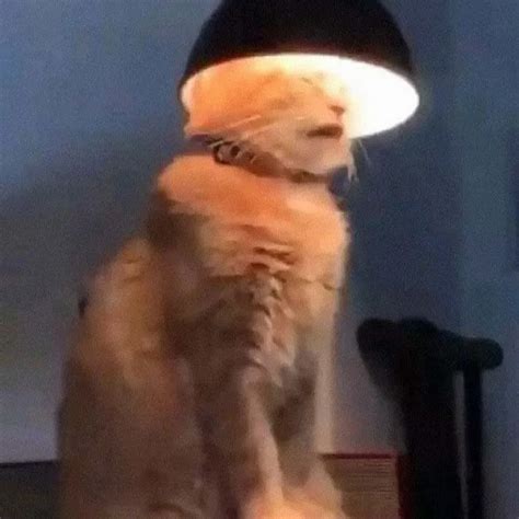 Ethen Brengel Youtube