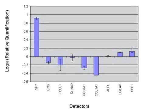 gene expression analysis of bm hmscs after 7 days of treatment with p