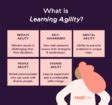 What Is Learning Agility How To Assess It Toggl Hire