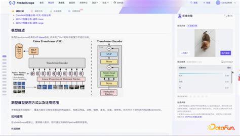 图像分类模型训练实践 知乎