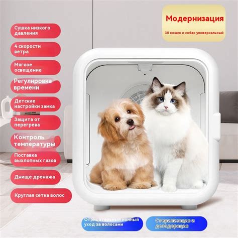 Автоматическая сушка для кошек и собак,62L - купить с доставкой по ...