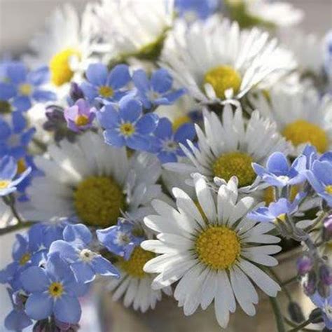 Jenny Eccles Youtube