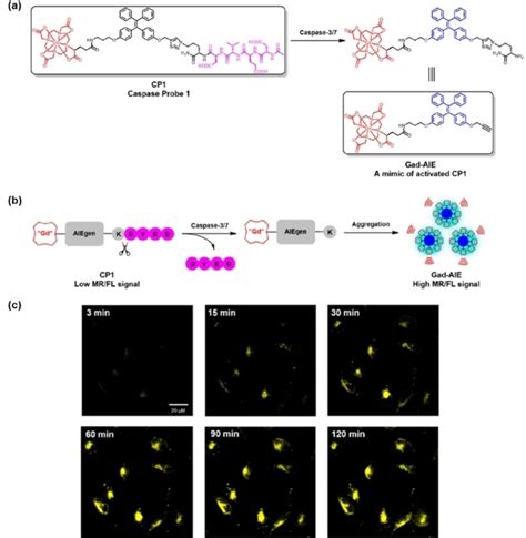 A Schematic Illustration Of The Self Assembly Process And Chemical