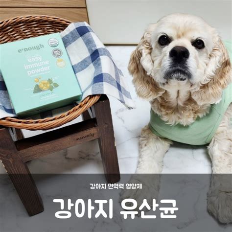 애견 유산균 강아지 면역력영양제 이지이뮨파우더 네이버 블로그
