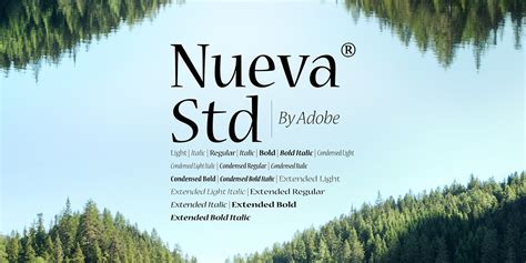 Nueva® Std Font
