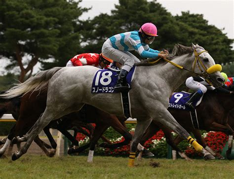 【高松宮記念】菜七子、連続g1！スノードラゴン騎乗 スポニチ競馬web
