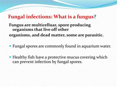 Ectoparasites Disease In Fish Pptx