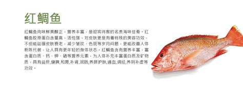 红鲷鱼 Moleq Inc Food Information