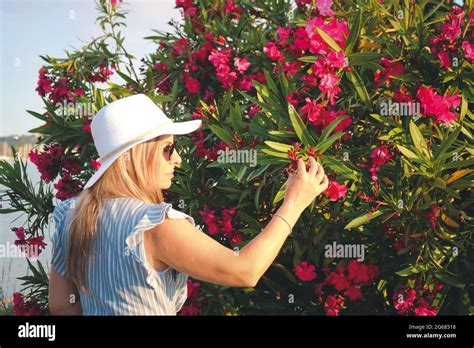 Woman And Oleander Tree Stock Photo Alamy
