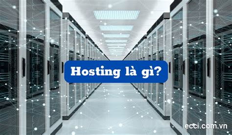 Hosting là gì Mua hosting ở đâu chất lượng ECCI