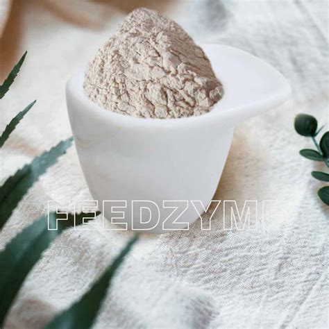 Cellulase Grade 1 Cellulase Best Feed Enzyme Enzymes