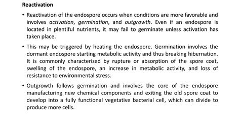 Bacterial Endosporeppt
