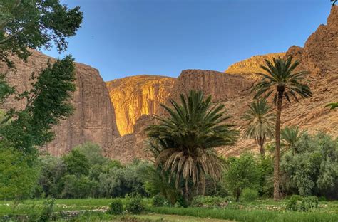 Stunning Monkey Fingers And Gorges 43bluedoors