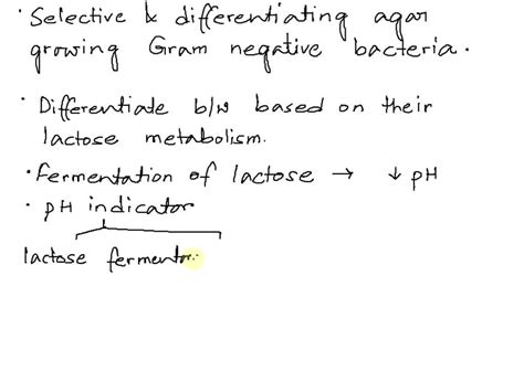 Solved Macconkey Agar All Of The Following Are True Of Macconkey Agar