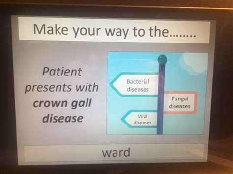 Ocr Gateway Gcse Biology A Paper 2 Revision Topics B4 B6 Teaching