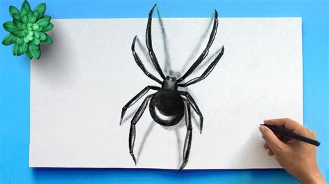 How To Draw Realistic Spider