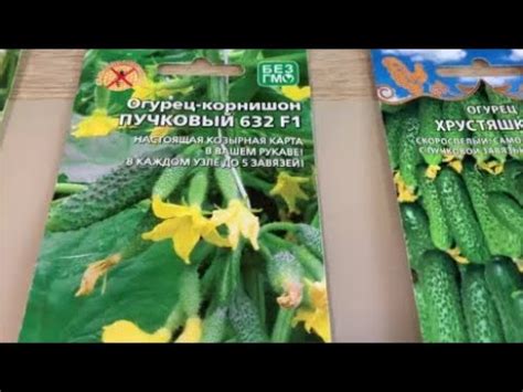 Надёжные и высокоурожайные семена Огурцов. Сею на рассаду. - YouTube