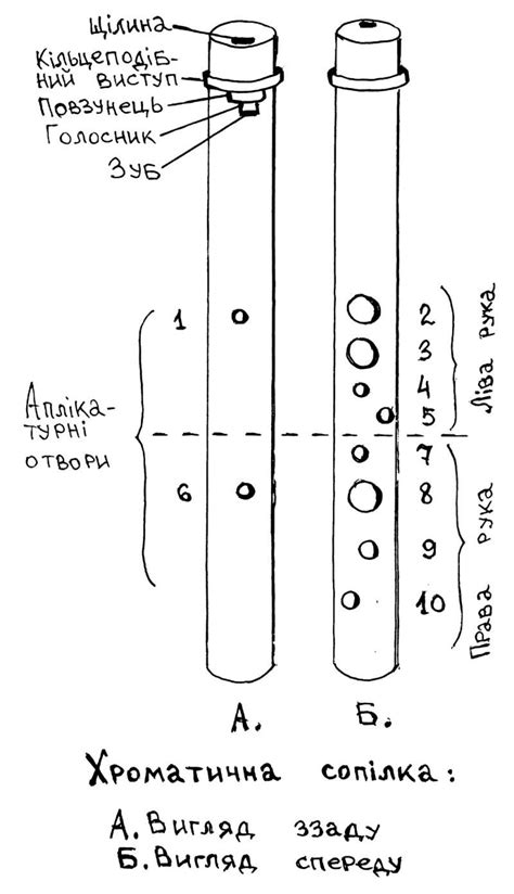 C Sharp Flute Measurement Artofit