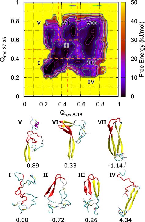 Conformational Free Energy Landscape Of Hiapp Fibrillar Dimer Along The
