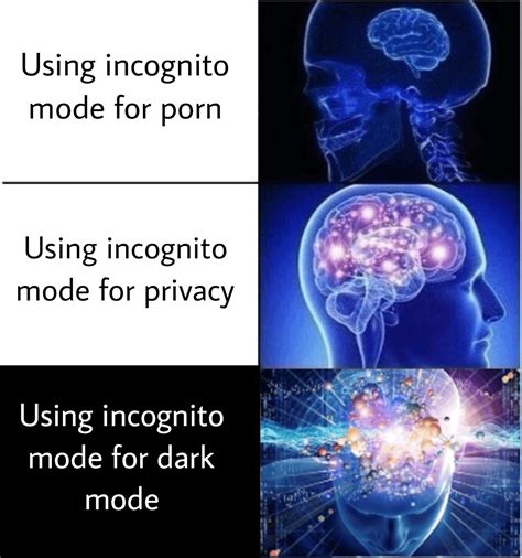 Incognito Mode Inprivate Mode R Memes