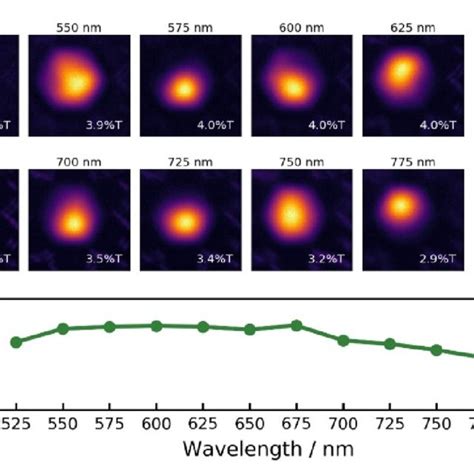 Erwin Reisner University Lecturer And Head Of Christian Doppler