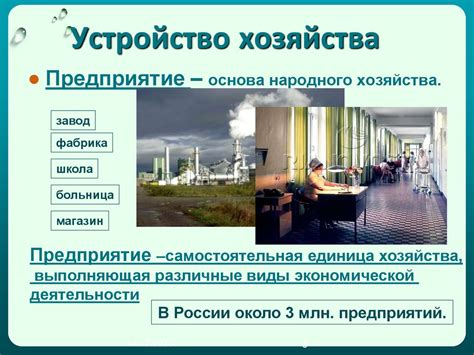 Хозяйство России. Что такое хозяйство страны? Как география изучает ...