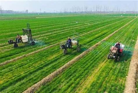 農民到底如何才能通過種地賺錢？ 每日頭條