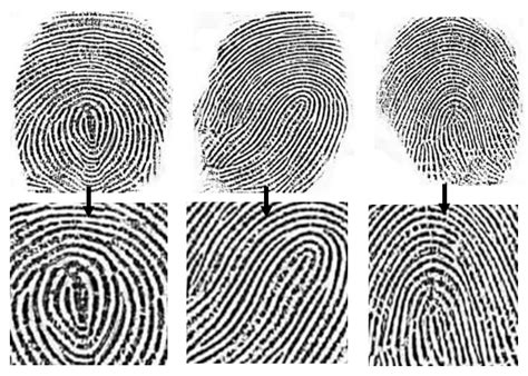 Dataset And Tools