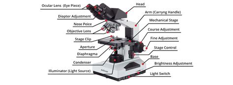 Parts Of A Microscope And Their Functions