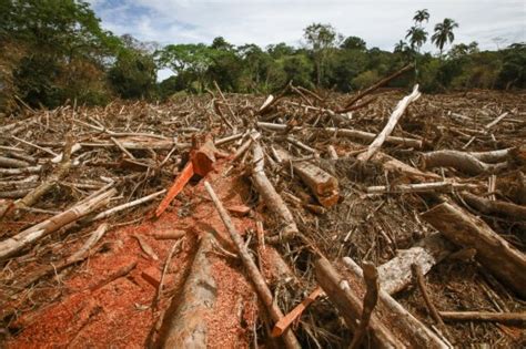Companies Investing In Climate Risk Mitigation Will Reap Rewards