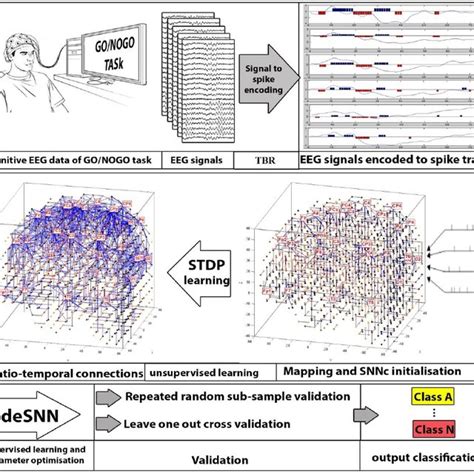 A Block Diagram Of The Neucube Modules For Eeg Data Encoding Mapping Download Scientific