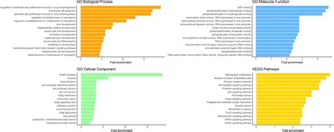 Fold Enrichment Of The Predicted Functional Annotation Of The 10 Most