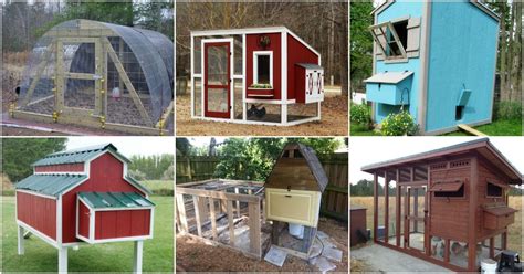 20 Free Diy Chicken Coop Plans You Can Build This Weekend Diy And Crafts