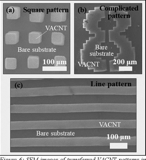 Figure 1 From Residue Free Transfer Of Vertically Aligned Carbon Nanotube Arrays Using Thin Ice