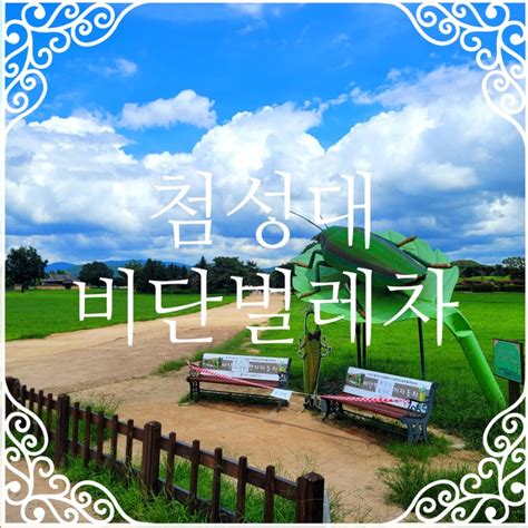 경주 첨성대 비단벌레차 예약 주차장 시간 코스 요금 네이버 블로그