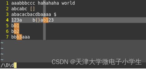 VIM技巧 VIM中的正则匹配 知乎