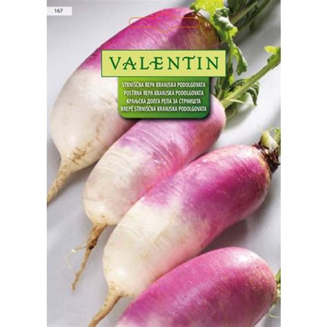 Korenovka Valentin 167 Repa Stran Kranjska Podolgovata Merkur Si
